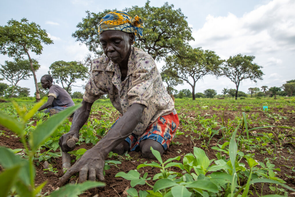 South Sudan launches $33 million project to build climate resilience ...